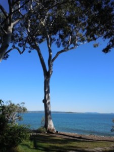 Mostly photos for the rest day in Noosa | Leave Without Pay