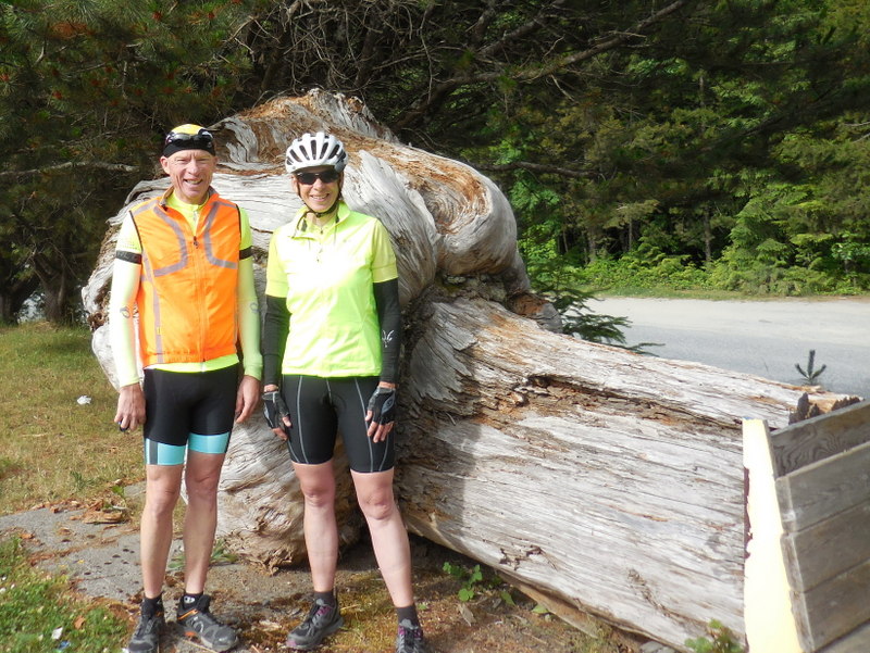 Sign confusion day –Woss Lake campground to Sayward Junction (74k/2642k ...