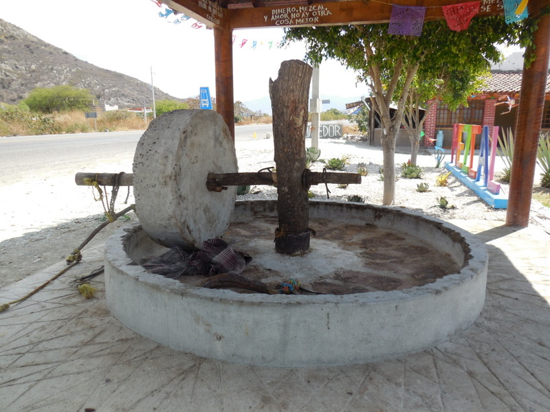The traditional way to make mezcal | Leave Without Pay