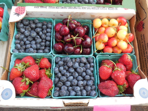 Oregon Berries | Leave Without Pay