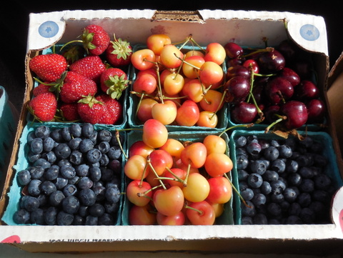 Oregon Berries | Leave Without Pay